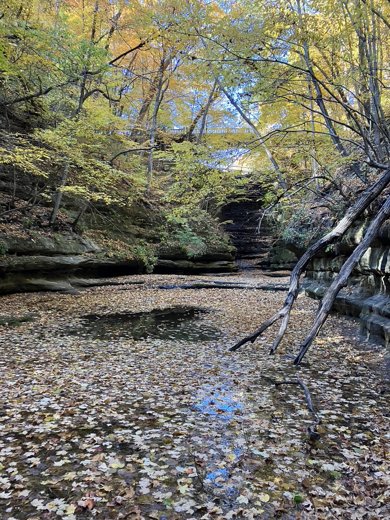 River Access for Recreation - Go Green Illinois